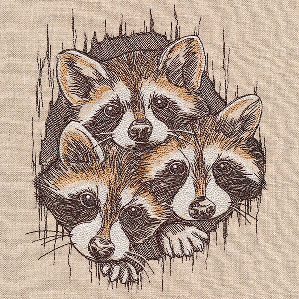 Raccoon Embroidery - Etsy