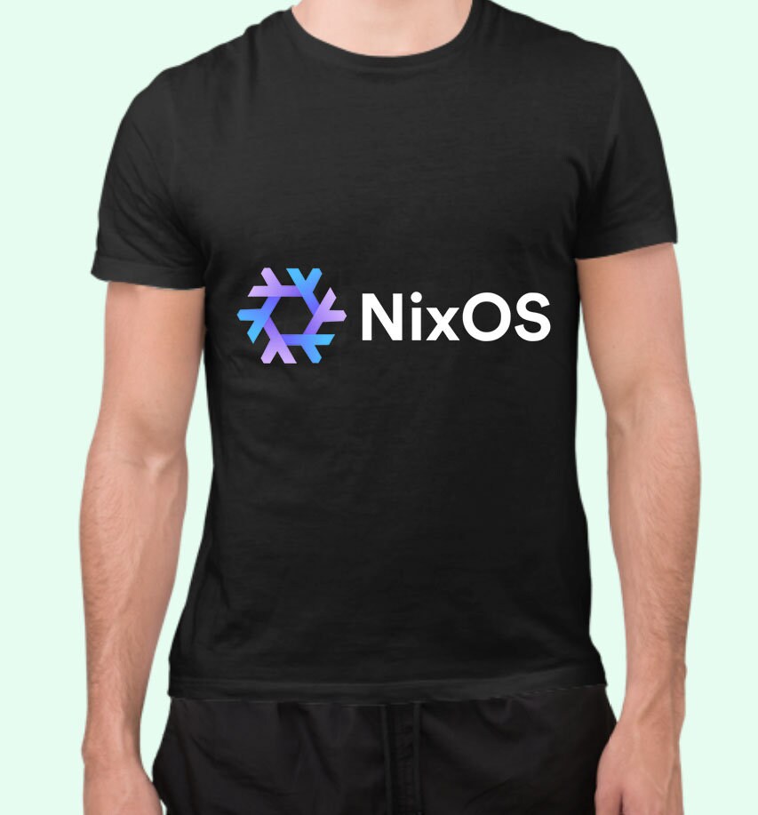NixOS Logo Merchandise Essential T-Shirt | Etsy