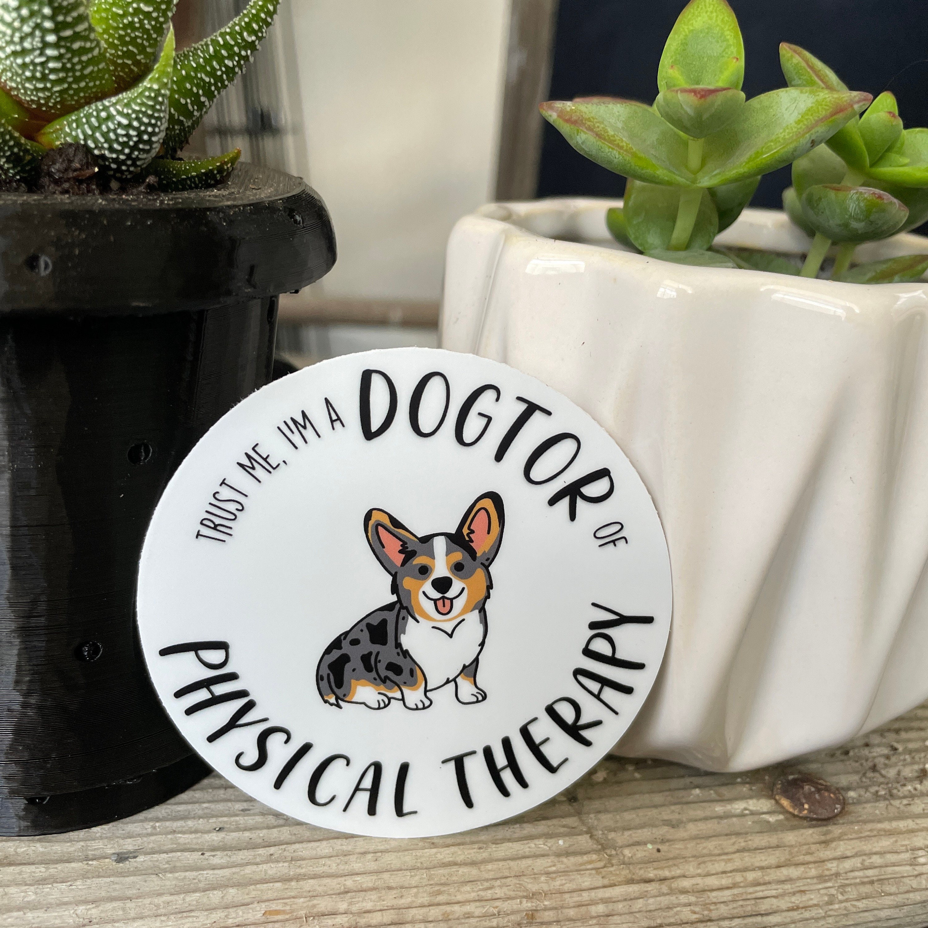 Dogtor of Physical Therapy Sticker - Etsy UK