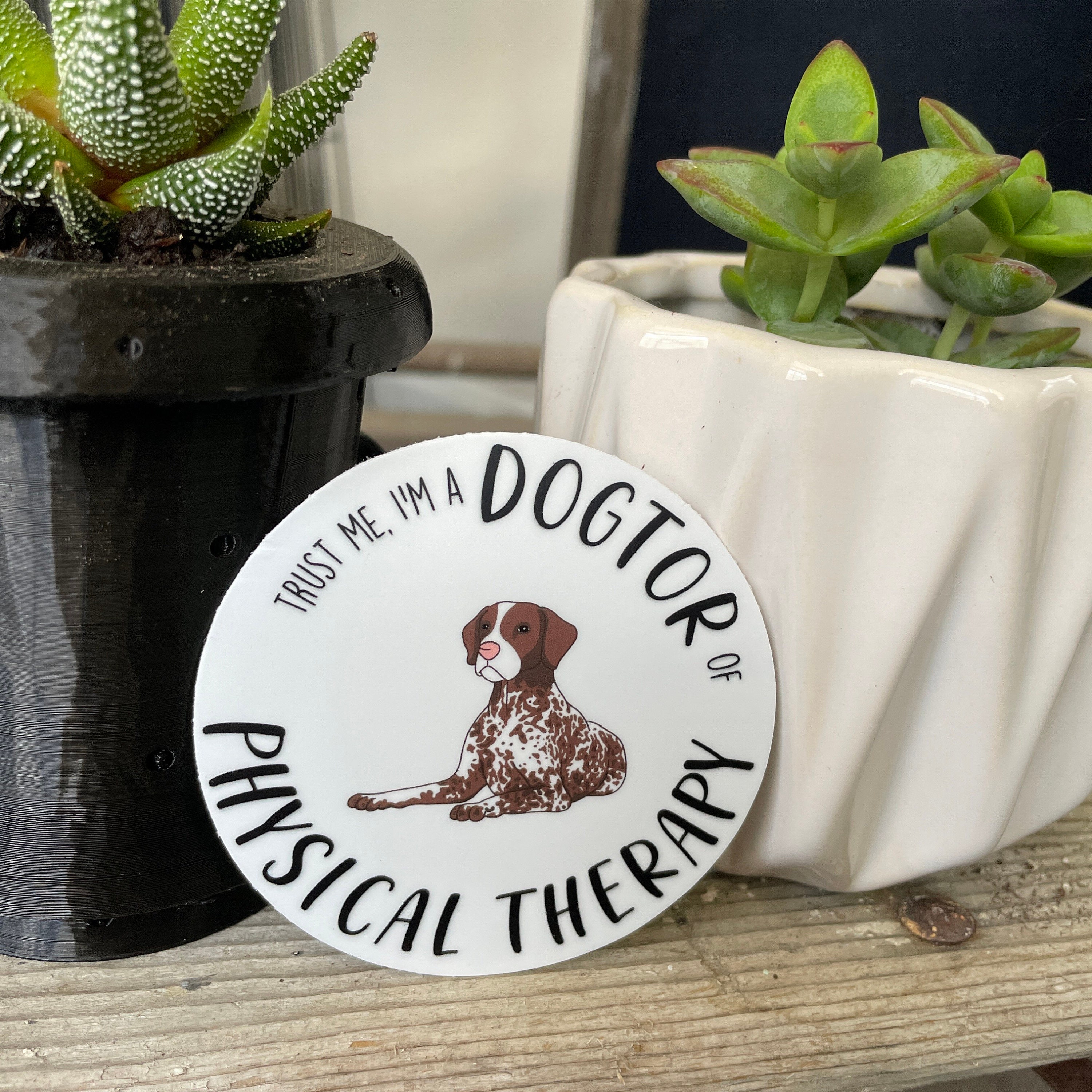 Dogtor of Physical Therapy Sticker - Etsy UK