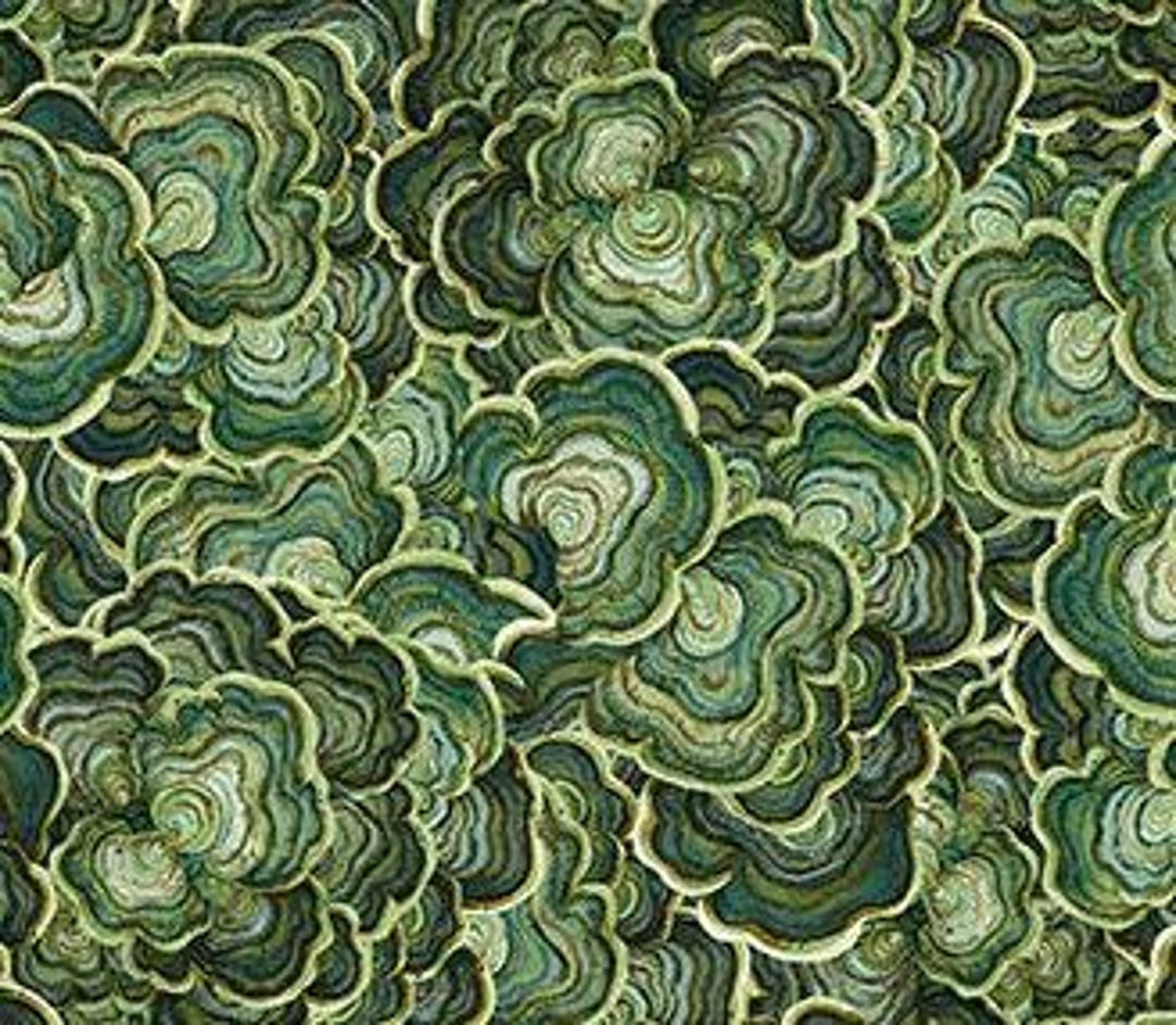 Northcott - Wild Harvest 27516 76 Dark Green Turkey Tail by the Yard - Etsy