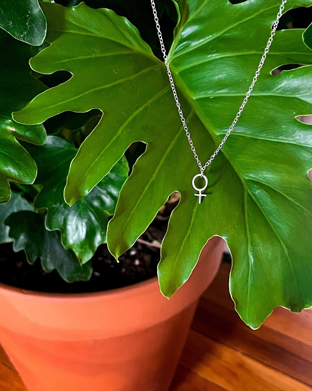 Venus Necklace, Female Symbol Necklace, Venus Symbol Pendant, Female ...