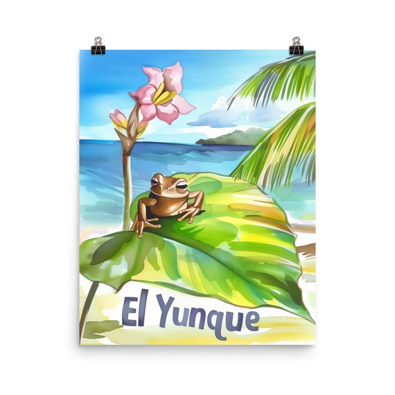 Printable Pictures El Coqui Puerto Rico