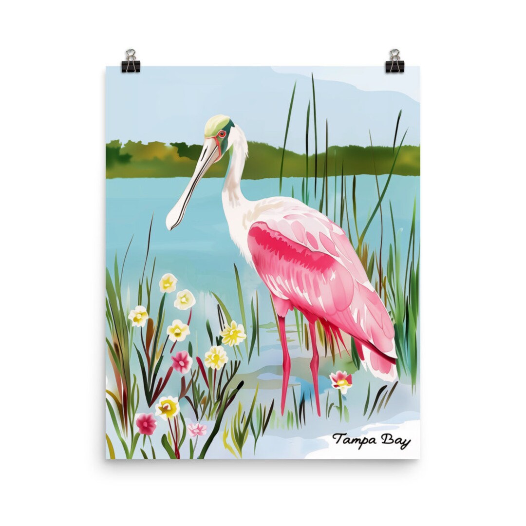 Tampa Bay Rose Spoonbill Watercolor Print | Florida Travel Gift ...