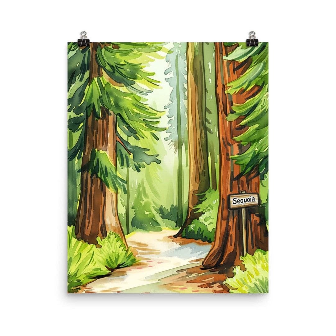 Sequoia National Park Watercolor Print, California Redwood Forest Wall ...