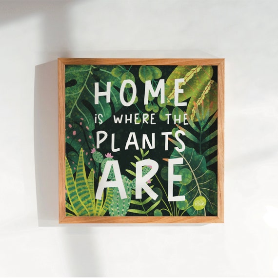 Molly Designs | Bespoke Illustrations - Pedddle