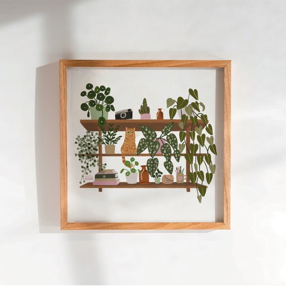 Molly Designs | Bespoke Illustrations - Pedddle