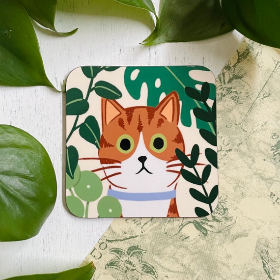 Molly Designs - Pedddle