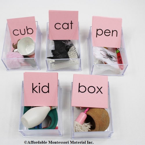 Object Boxes Pink Scheme Montessori CVC Phonetic Words - Etsy