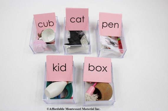 Object Boxes Pink Scheme Montessori CVC Phonetic Words | Etsy