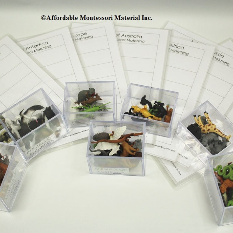 Continent Box - Etsy