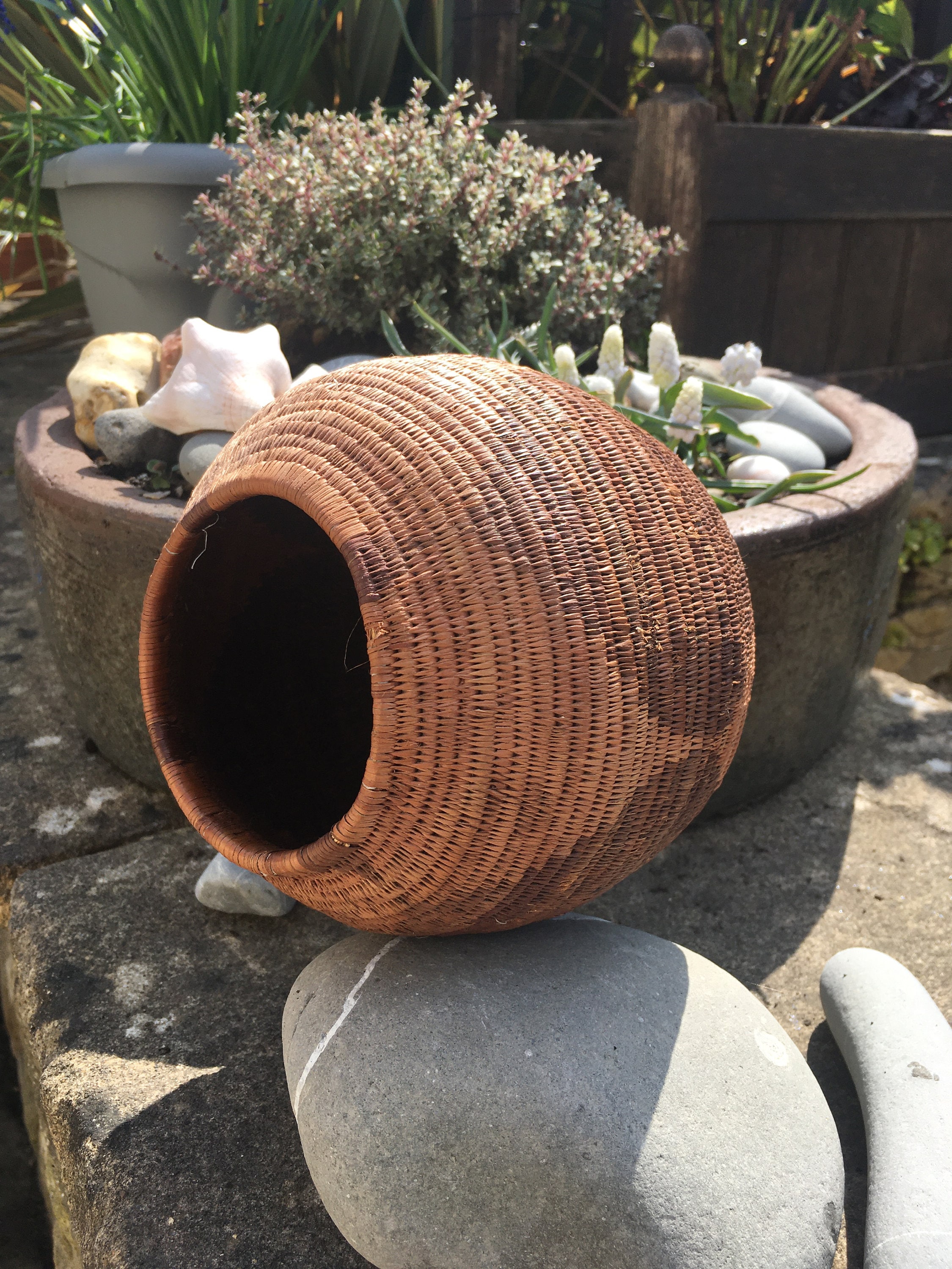 Paiute Miwok Polychrome Basket NATIVE AMERICAN 19th Century Red Indian ...