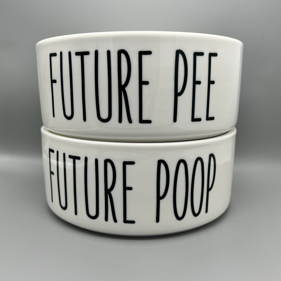 Future Pee Future Poop Pet Bowls: Heavy Ceramic, No Spill - Etsy