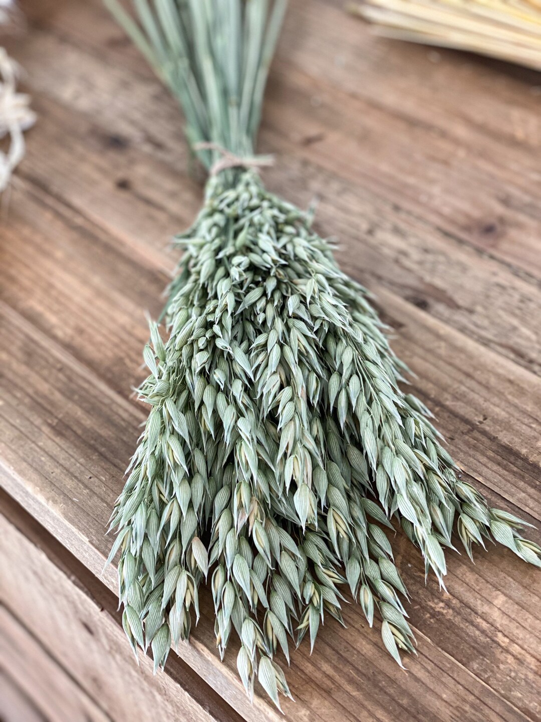 Dried Oats, Dried Flowers in Natural Green, Dried Flowers - Etsy