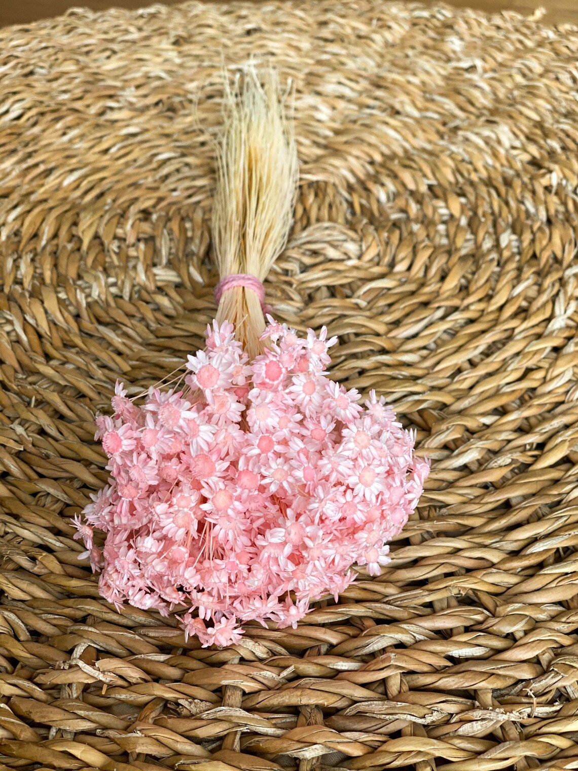 Glixia pink Marcela dried flowers dried flower bouquet in | Etsy