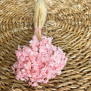 Glixia pink Marcela dried flowers dried flower bouquet in | Etsy