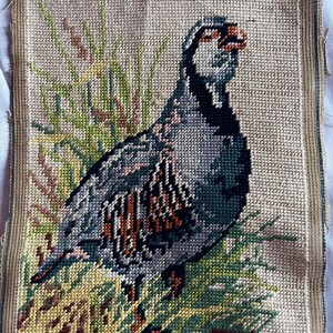 Rare Partridge Stitched on Canvas,, French Vintage Needlepoint. 2 - Etsy
