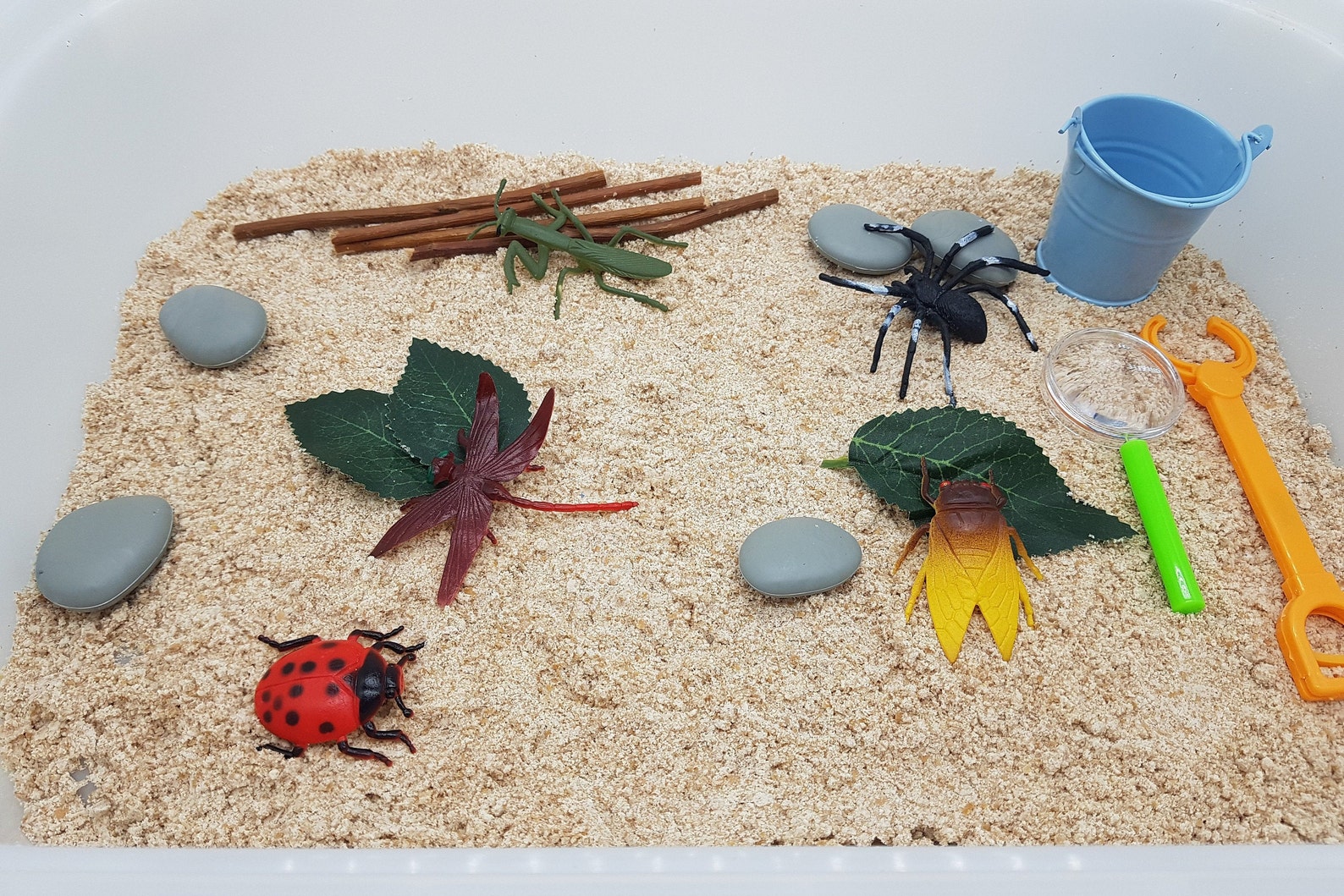 Minibeast / Bug / Insect / Messy Sensory Play Tray / Garden | Etsy