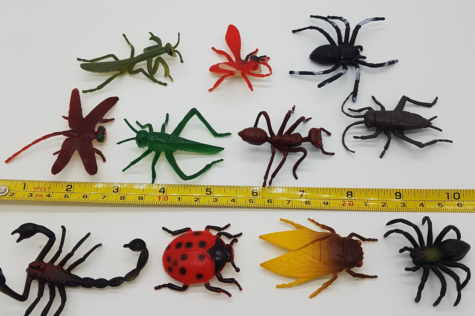 Minibeast / Bug / Insect / Messy Sensory Play Tray / Garden | Etsy