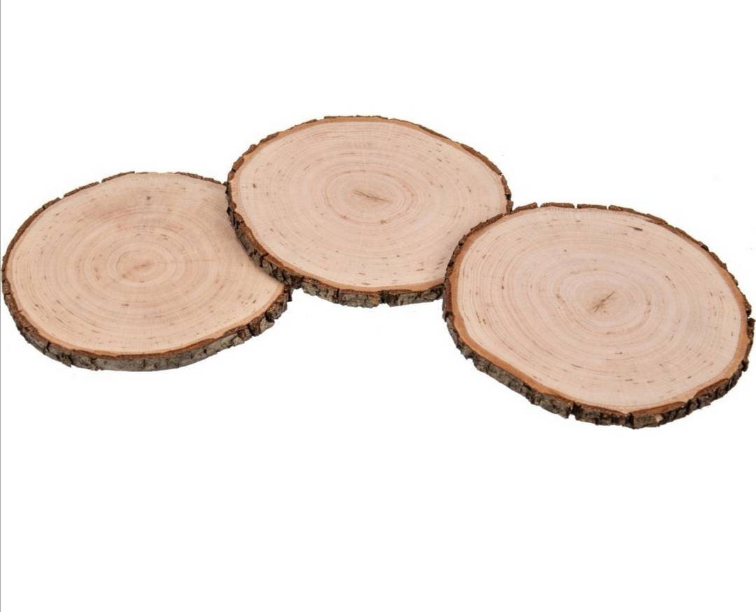 Tree Disc Bark Disc Alder Disc Branch Disc Wooden Disc - Etsy