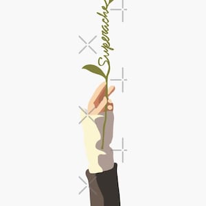 Conan Gray - Superache Vinyl Sticker Laptop Sticker, Water Bottle ...