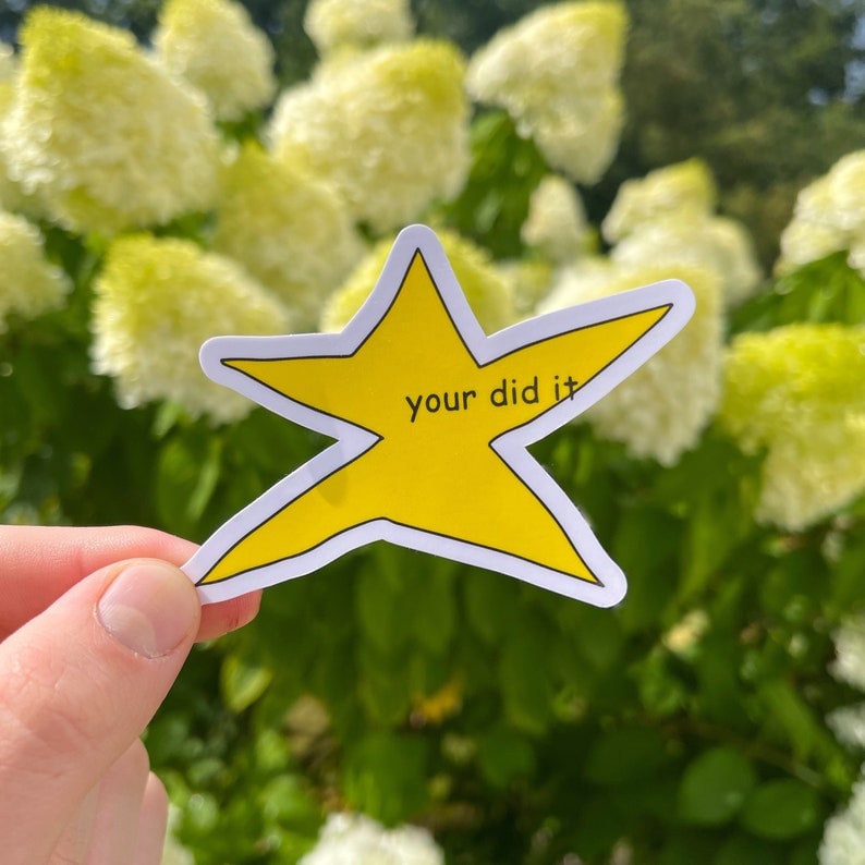Your Did It Star Funny Vinyl Sticker Laptop Sticker, Water Bottle ...