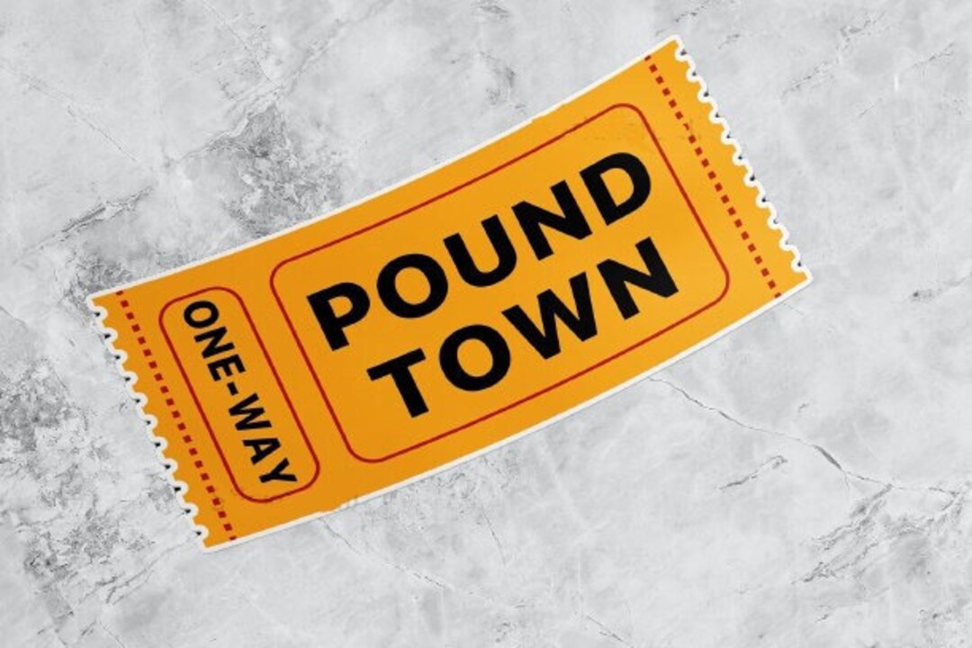 One-way Ticket to Pound Town Funny Vinyl Sticker Laptop Sticker, Water ...