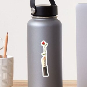 Conan Gray - Superache Vinyl Sticker Laptop Sticker, Water Bottle ...
