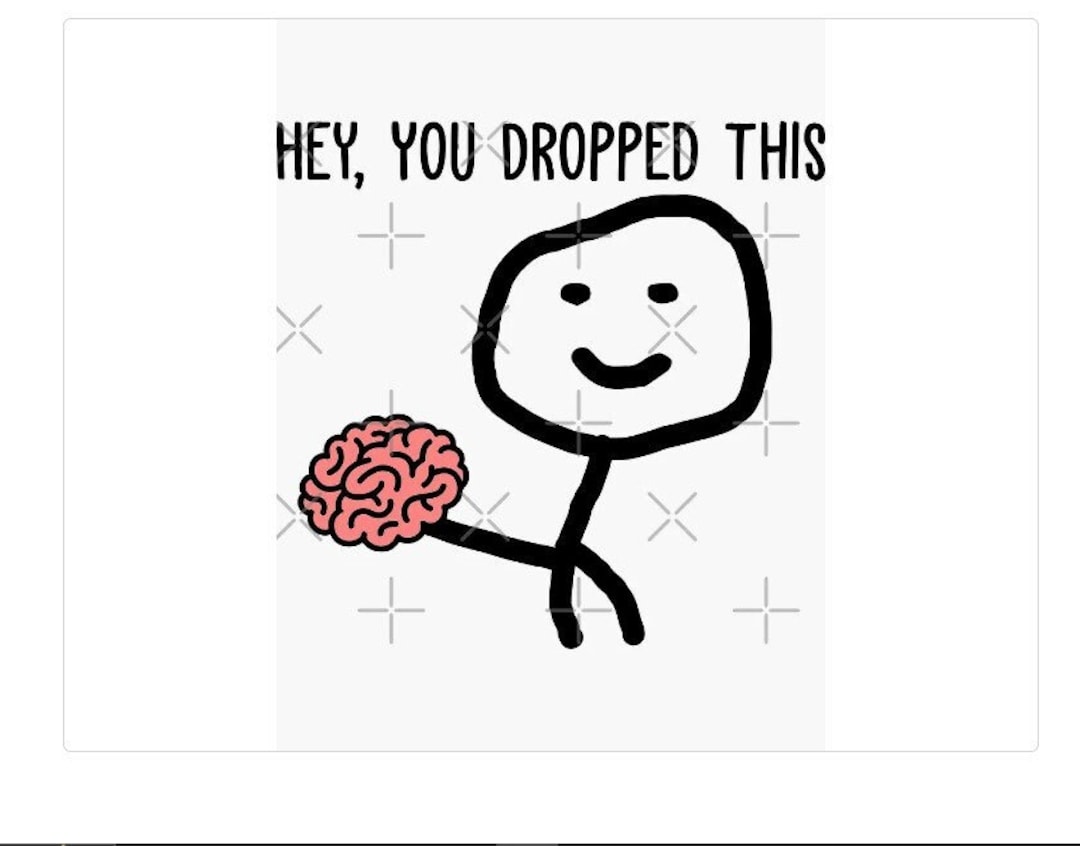 Hey You Dropped This Funny Vinyl Sticker Laptop Sticker, Water Bottle ...