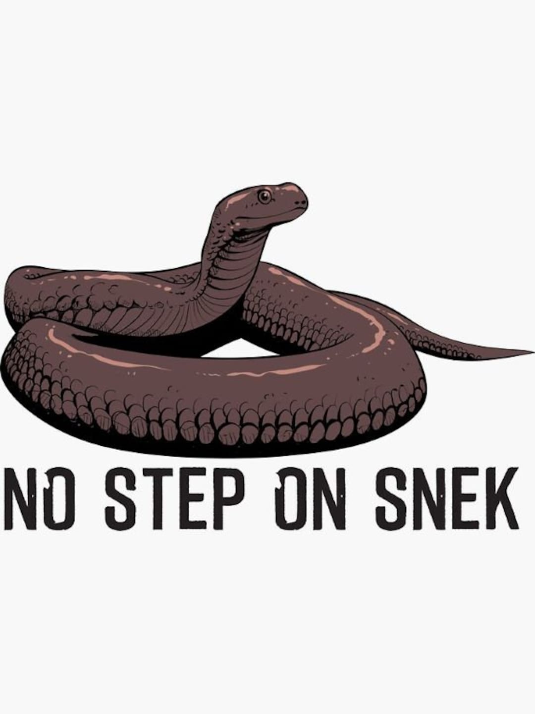 No Step on Snek Funny Vinyl Sticker Laptop Sticker, Water Bottle ...