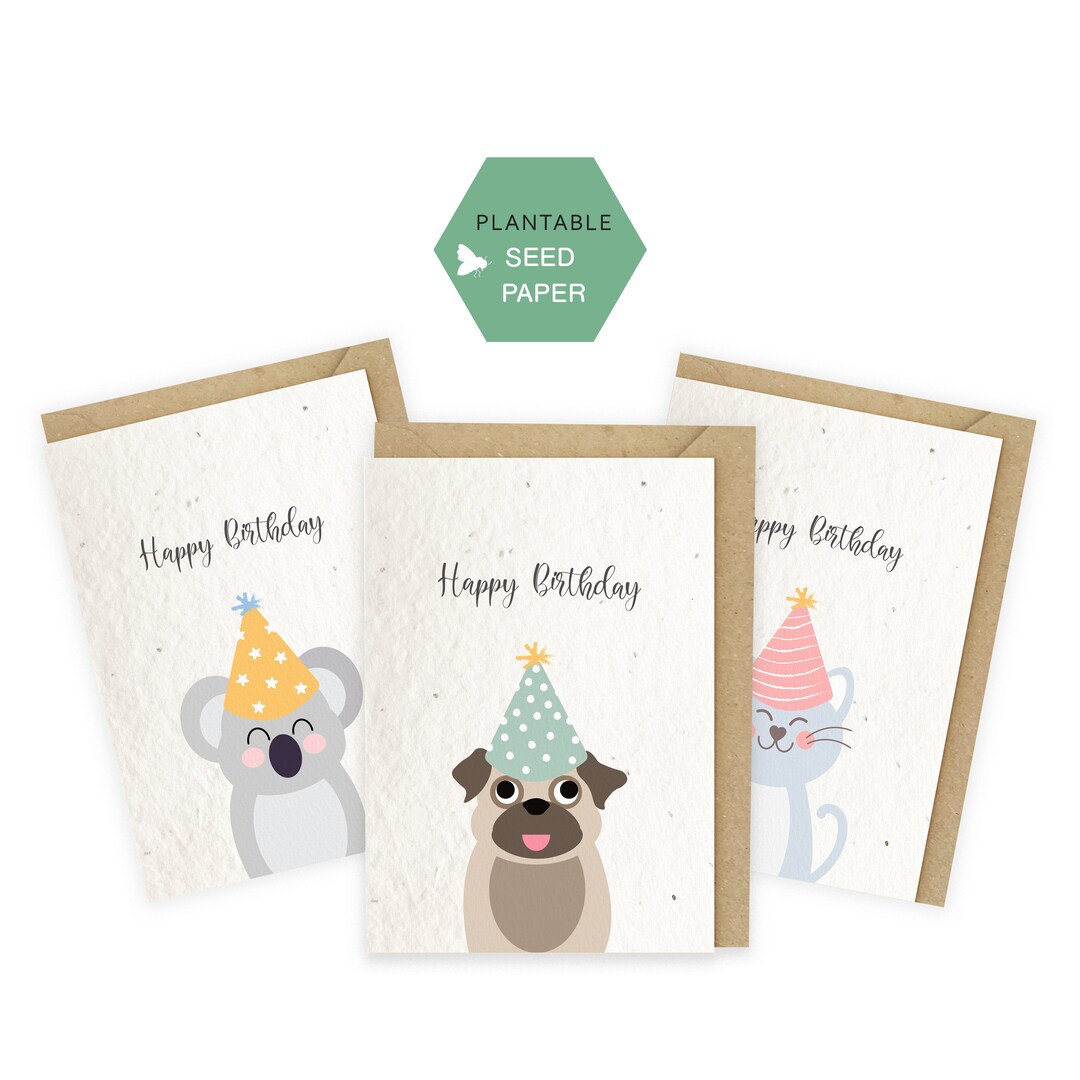 Set Plantable Birthday Cards, Biodegradable Gift, Zero Waste Pack ...