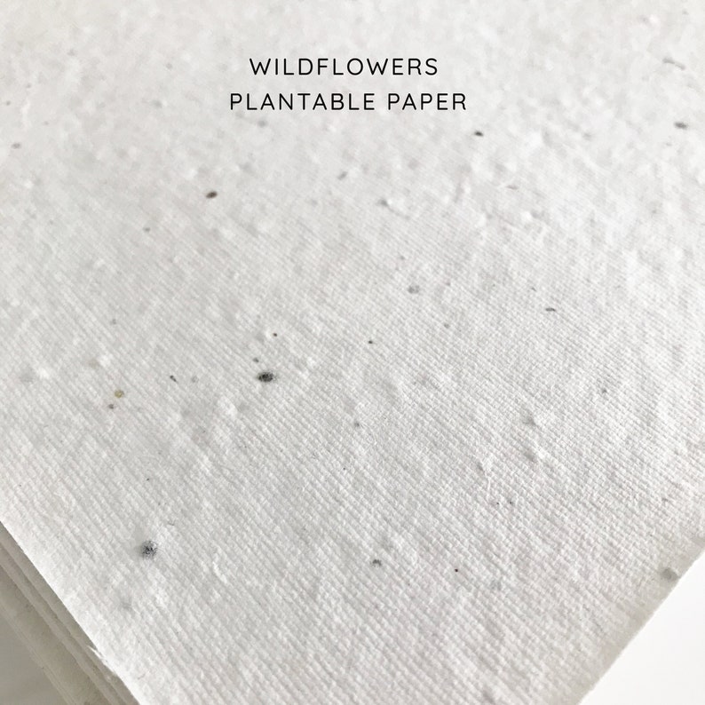 A6 Plantable Seed Card: DIY Eco-friendly Greeting Cards - Etsy