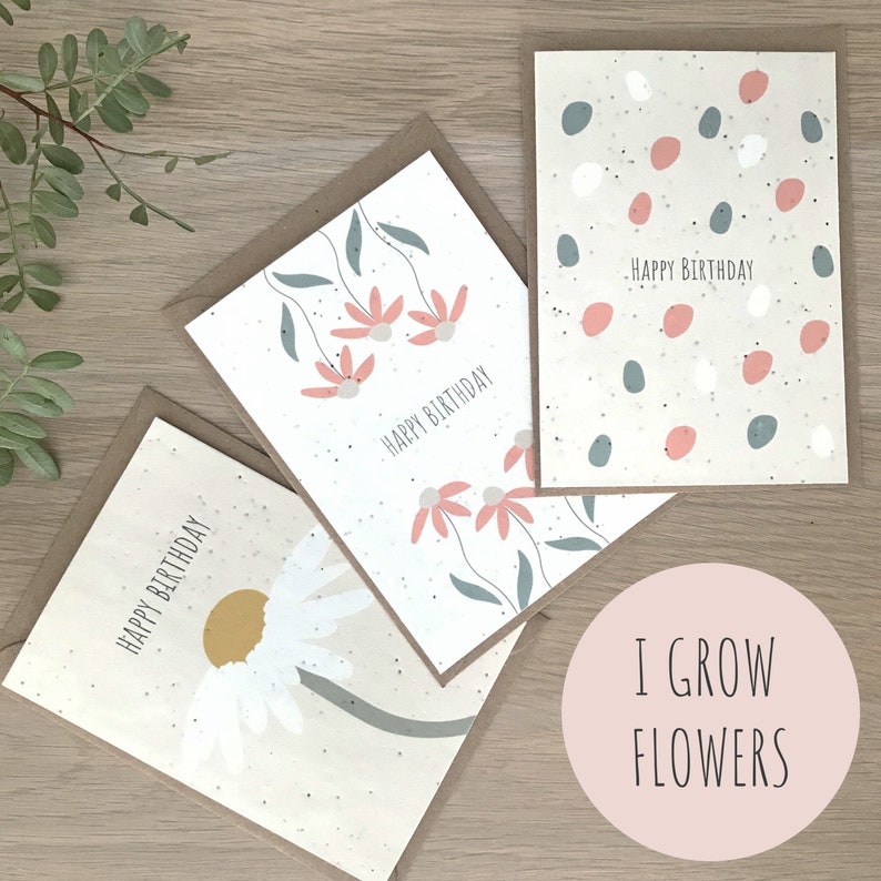 Seeded Paper Birthday Cards Eco Friendly Sustainable Gift | Etsy