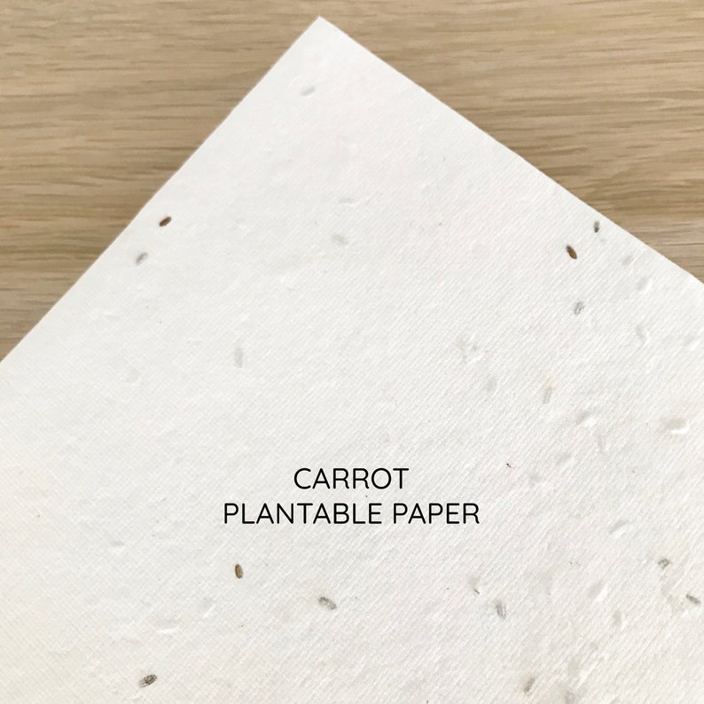 A4 Seed Paper Bulk Plantable Paper A4 Handmade Sheets Blank - Etsy UK
