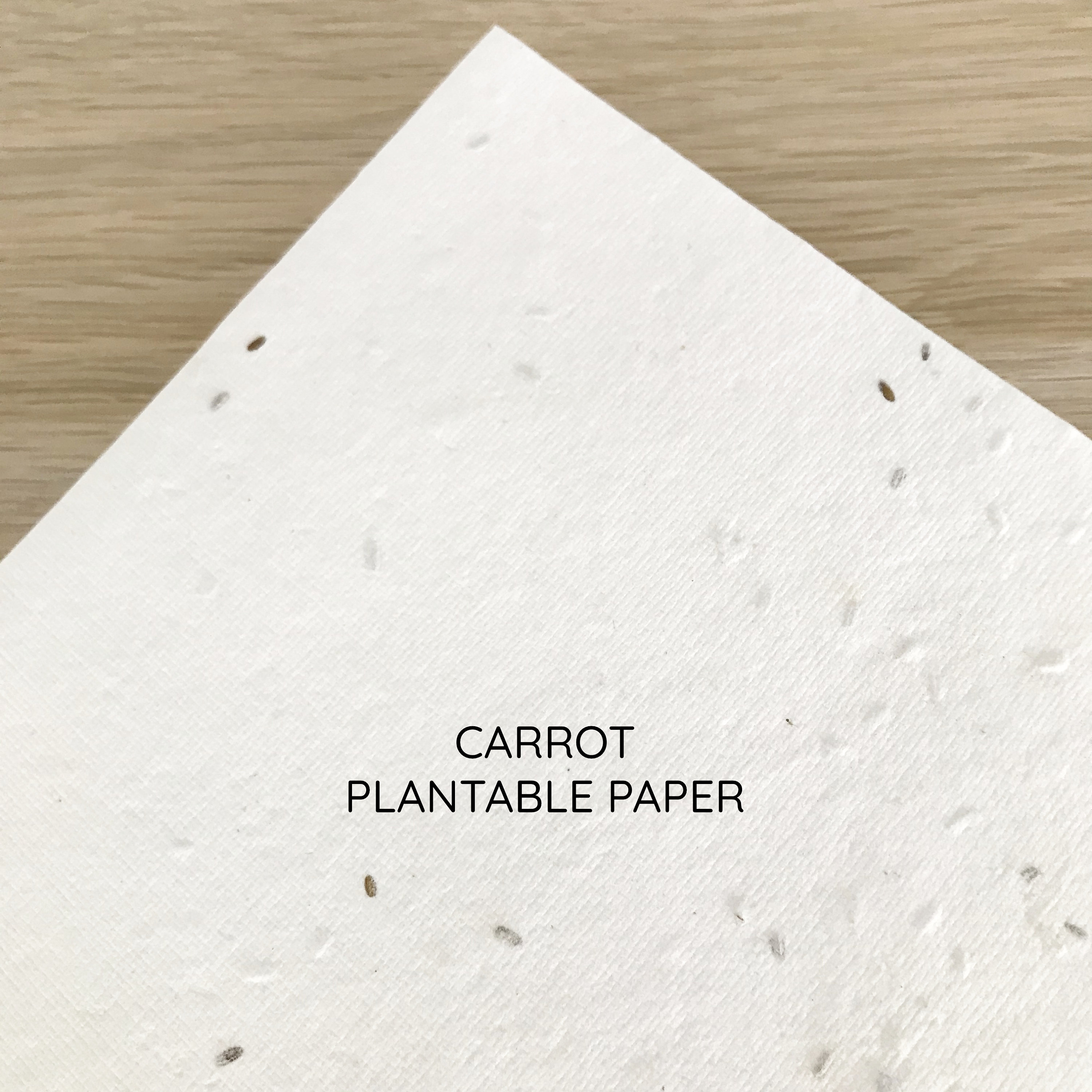 A4 Seed Paper Bulk Plantable Paper A4 Handmade Sheets Blank - Etsy UK