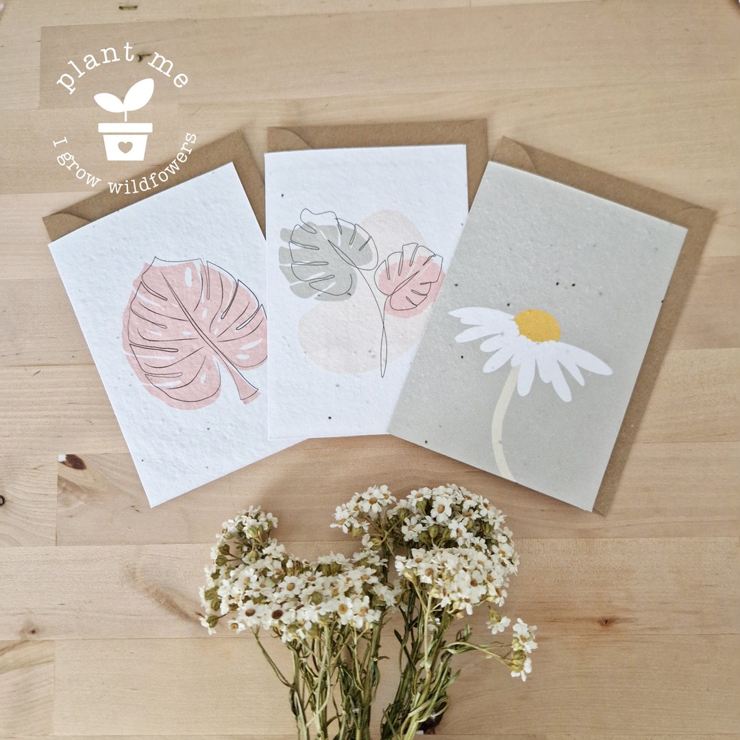 Plantable All Occasions Cards for Her, Seed Paper Greeting Cards, Line ...