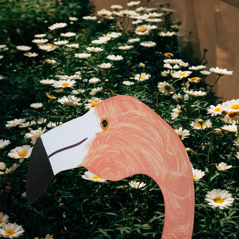 5 Large Bobbing Birds Pick Colors PVC Dancing Balancing Sculpture ...