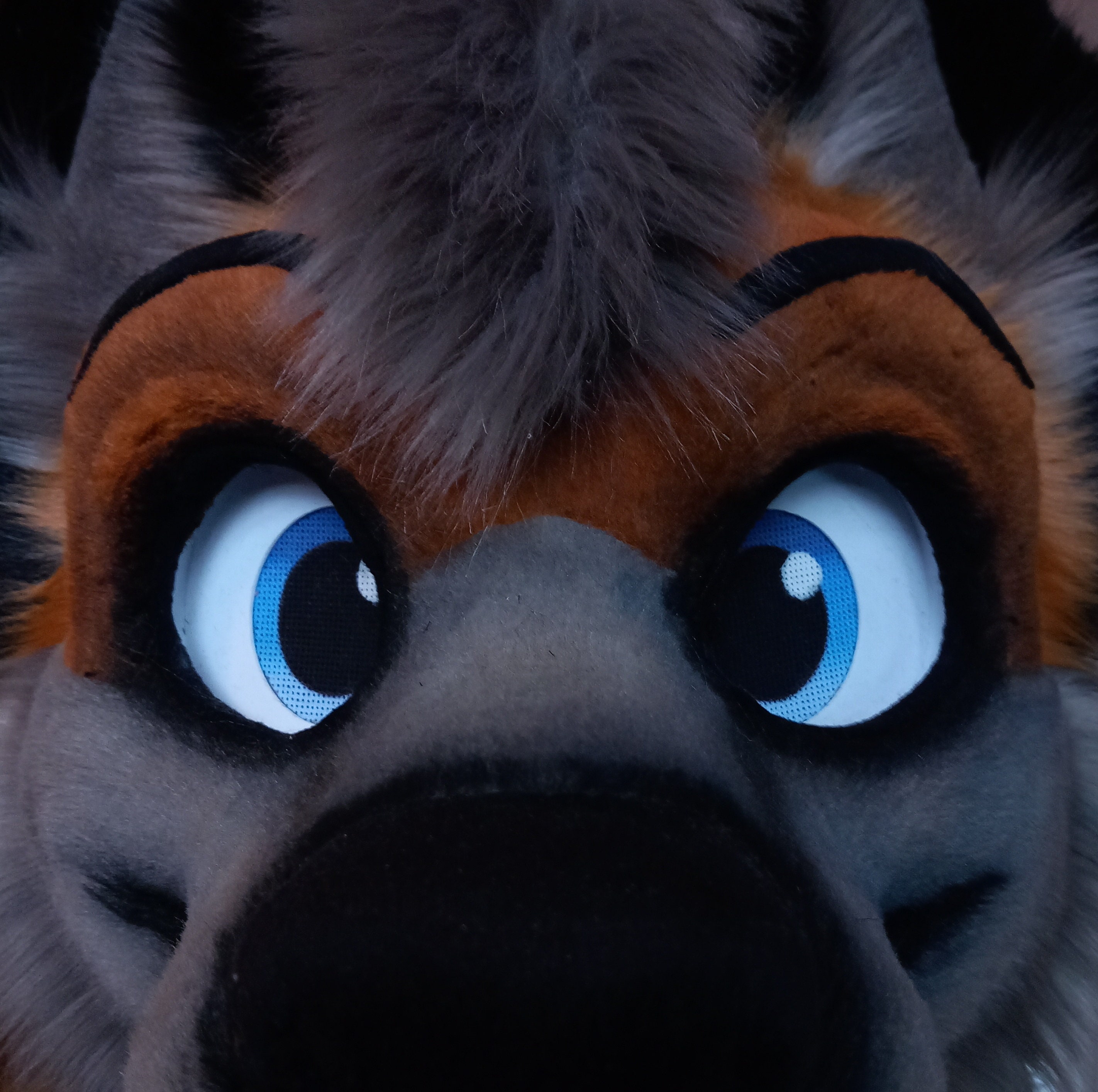 White Eye Kit Make Your Own 3D Printed Furry Toony Eyes for - Etsy ...