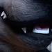 Fursuit Teeth 3D Printed Toony Fangs for Fursuits and Costume - Etsy UK
