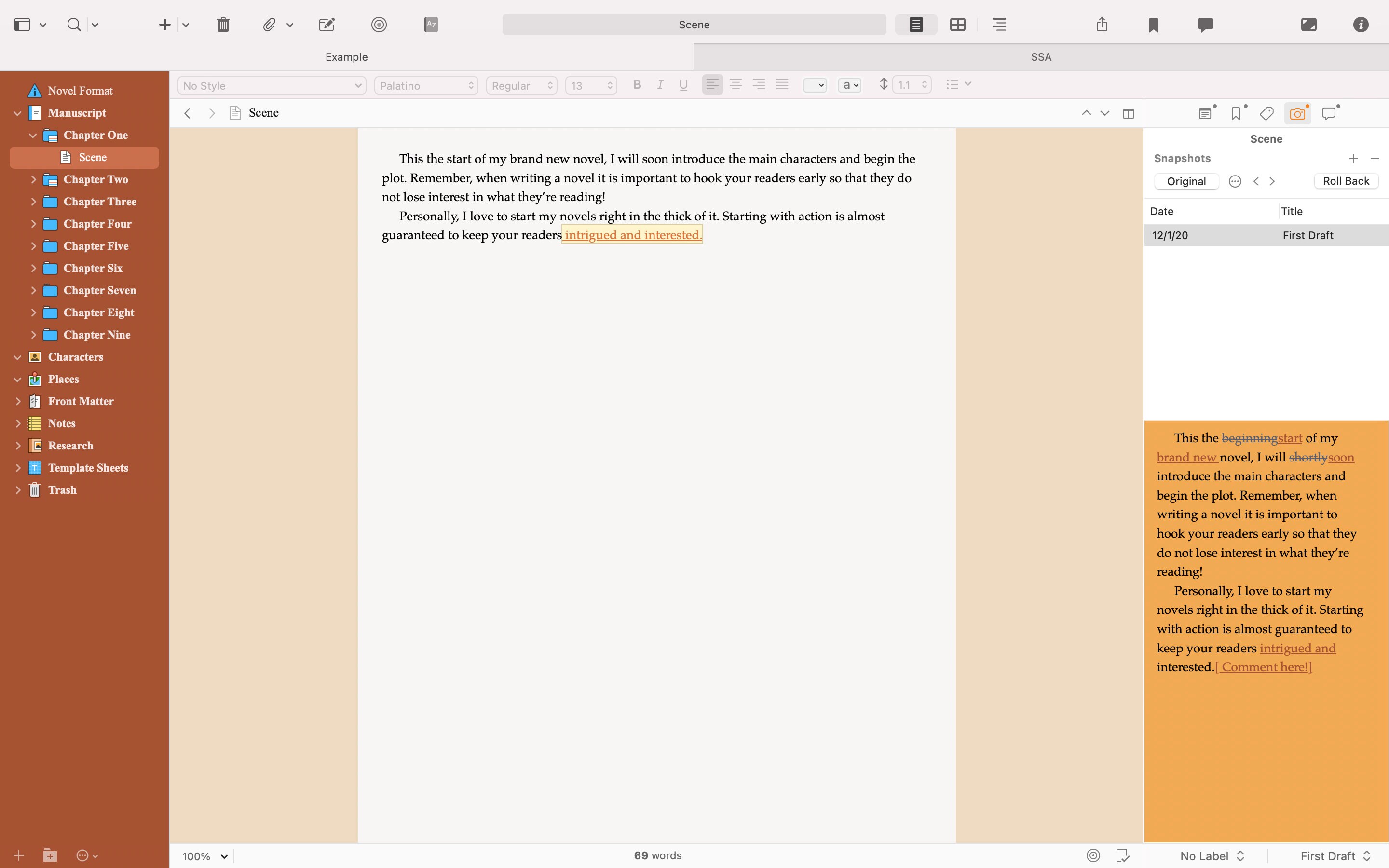 Desert Nights Scrivener Theme light & Dark - Etsy Australia