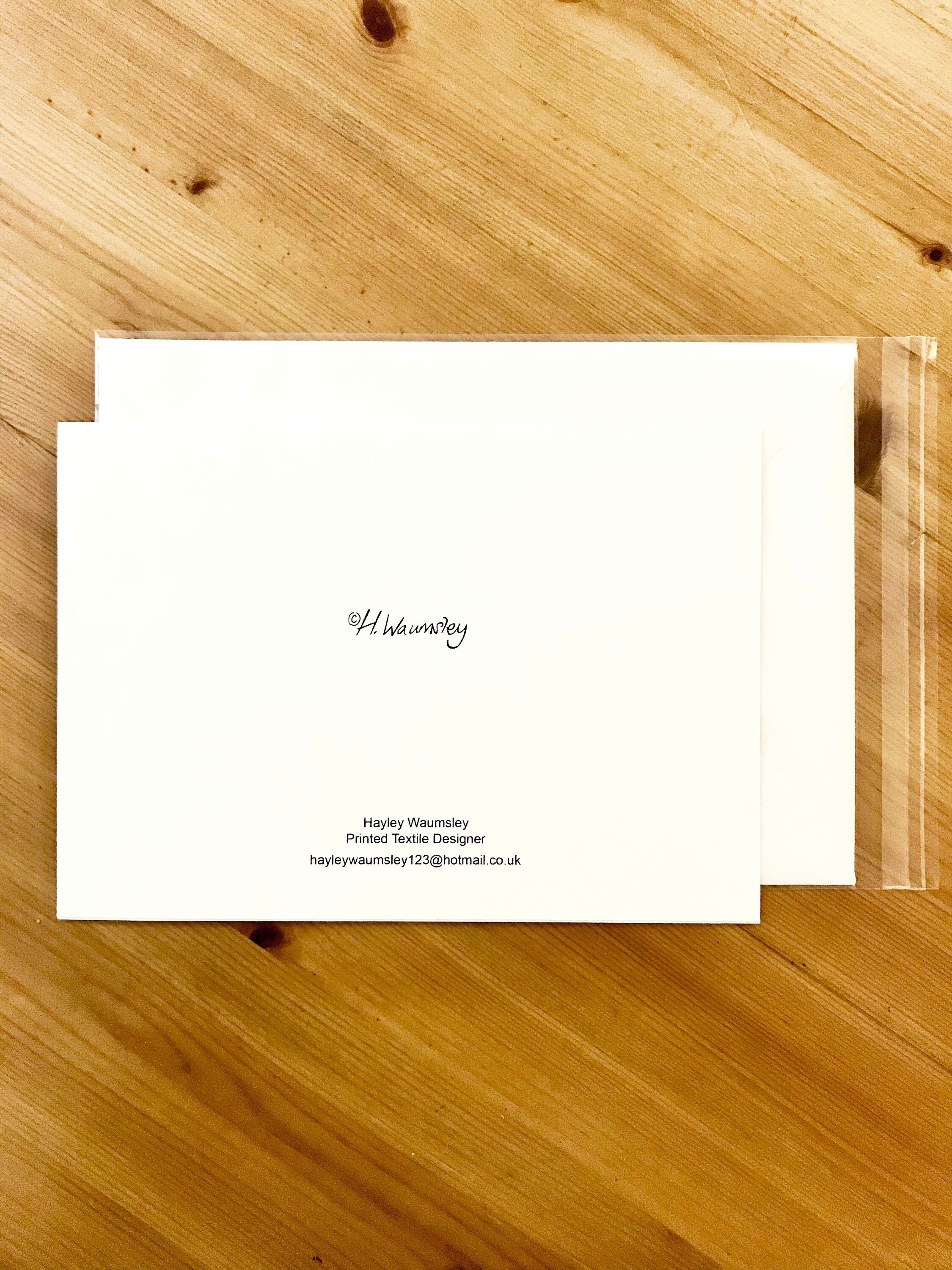 LIMITED EDITION Conch Shell Illustration Greetings Card. Conch - Etsy