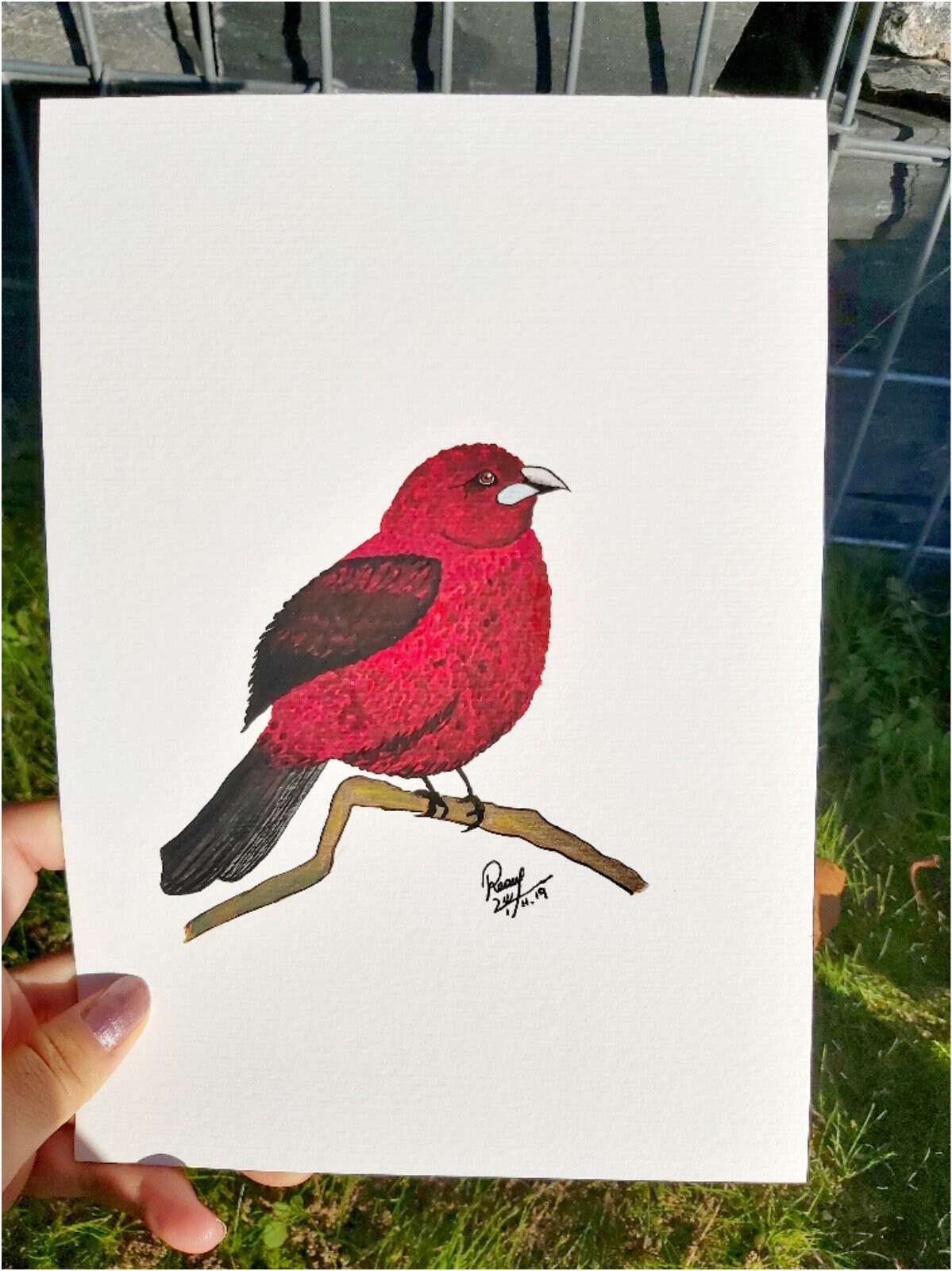 Original Red Bird Watercolour Painting Wall Decor Red and - Etsy
