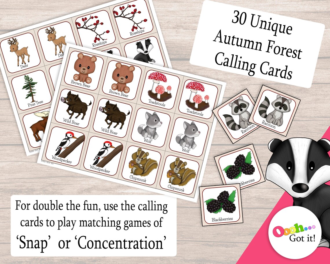 Woodland Animal Bingo Cards a Printable Autumn Forest Game | Etsy UK