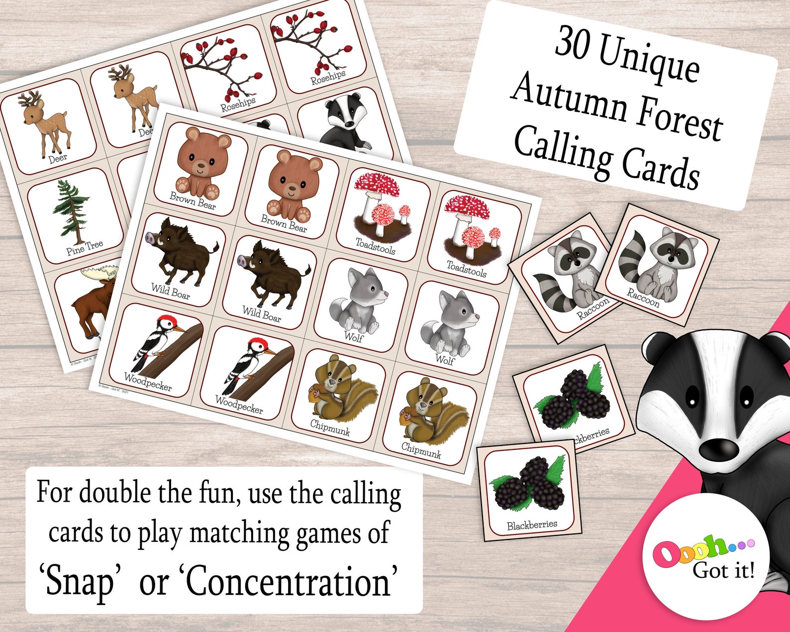 Woodland Animal Bingo Cards a Printable Autumn Forest Game | Etsy UK