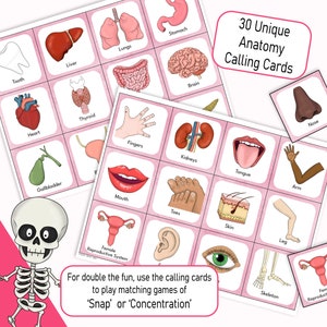 Human Body Parts Bingo, a Printable Anatomy Game for a Fun Biology ...