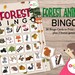 Woodland Animal Bingo Cards a Printable Autumn Forest Game - Etsy