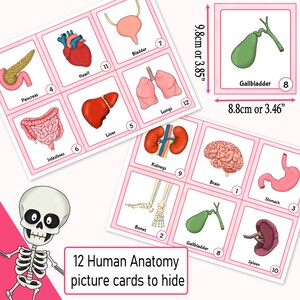 Human Body Picture Scavenger Hunt, a Printable Anatomy Family Game, for ...