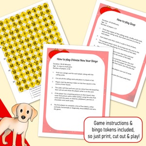 Chinese New Year Bingo Cards, a Printable Lunar New Year Party Game for ...