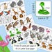 Zoo Animal Memory Card Game – A Printable Matching Game for Kids ...