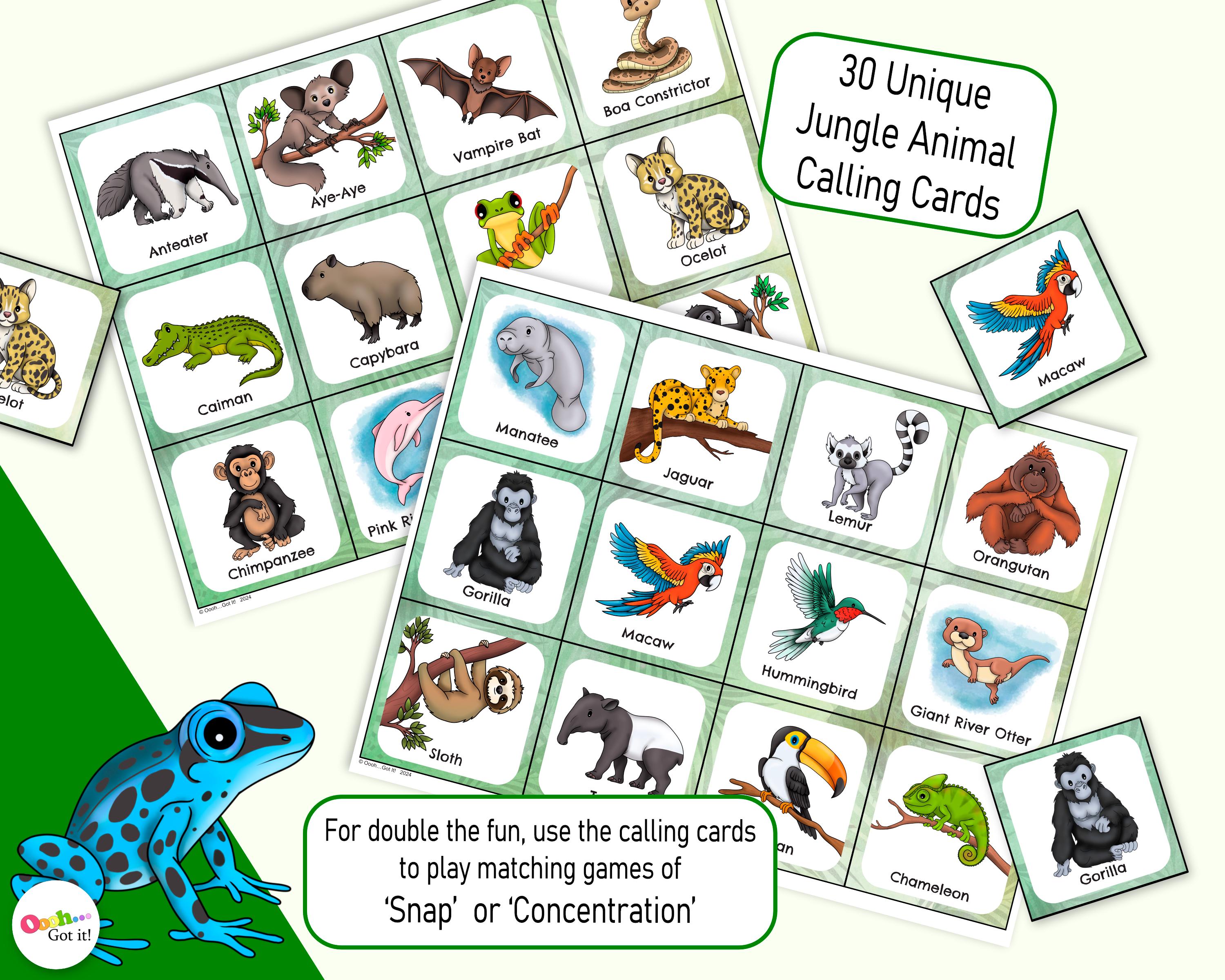 Rainforest Animal Bingo – A Fun Printable Jungle Wildlife Game for Kids ...